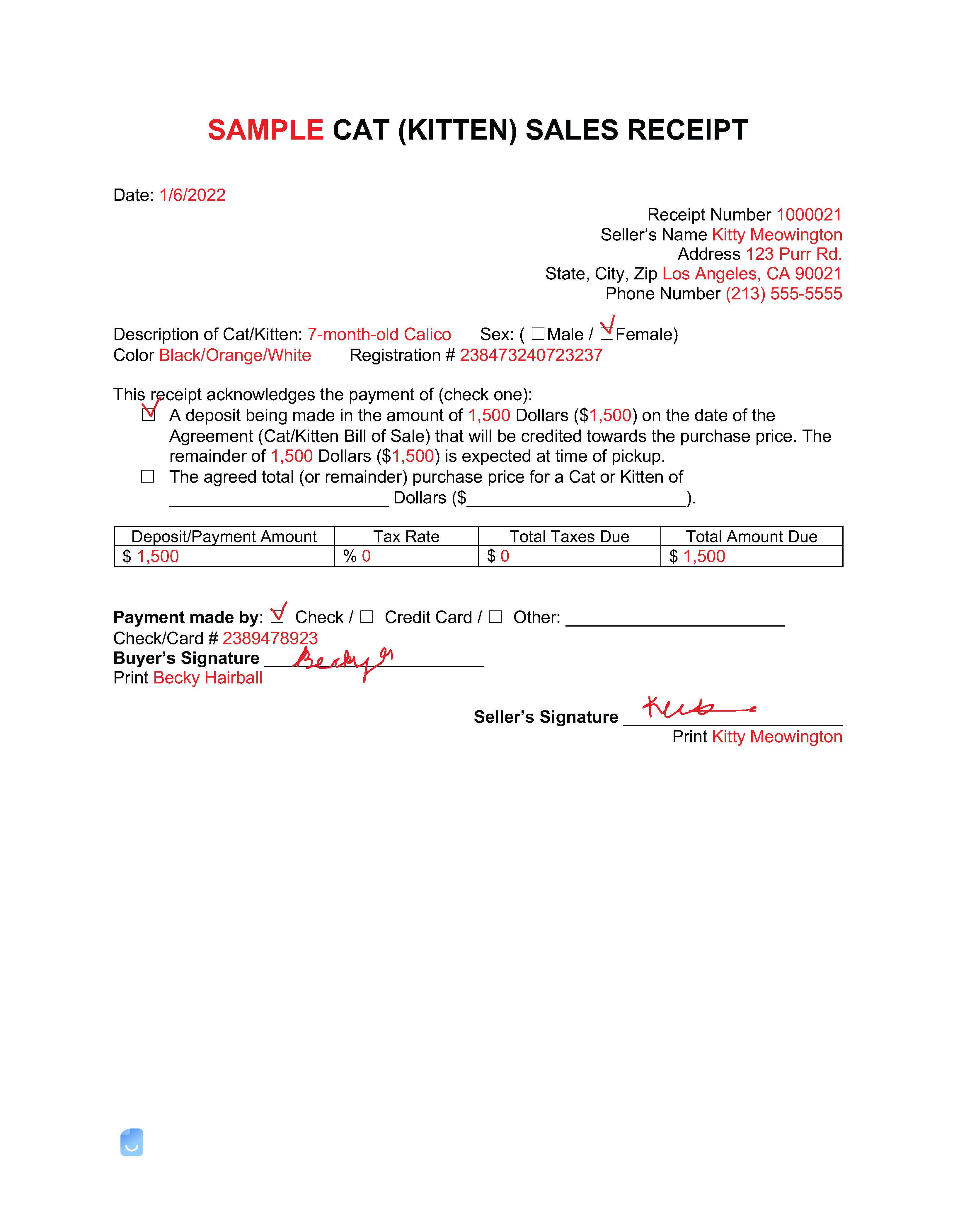 Cat (Kitten) Receipt Template | Invoice Maker